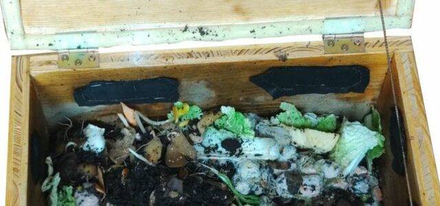 What is a worm box and how does it work?