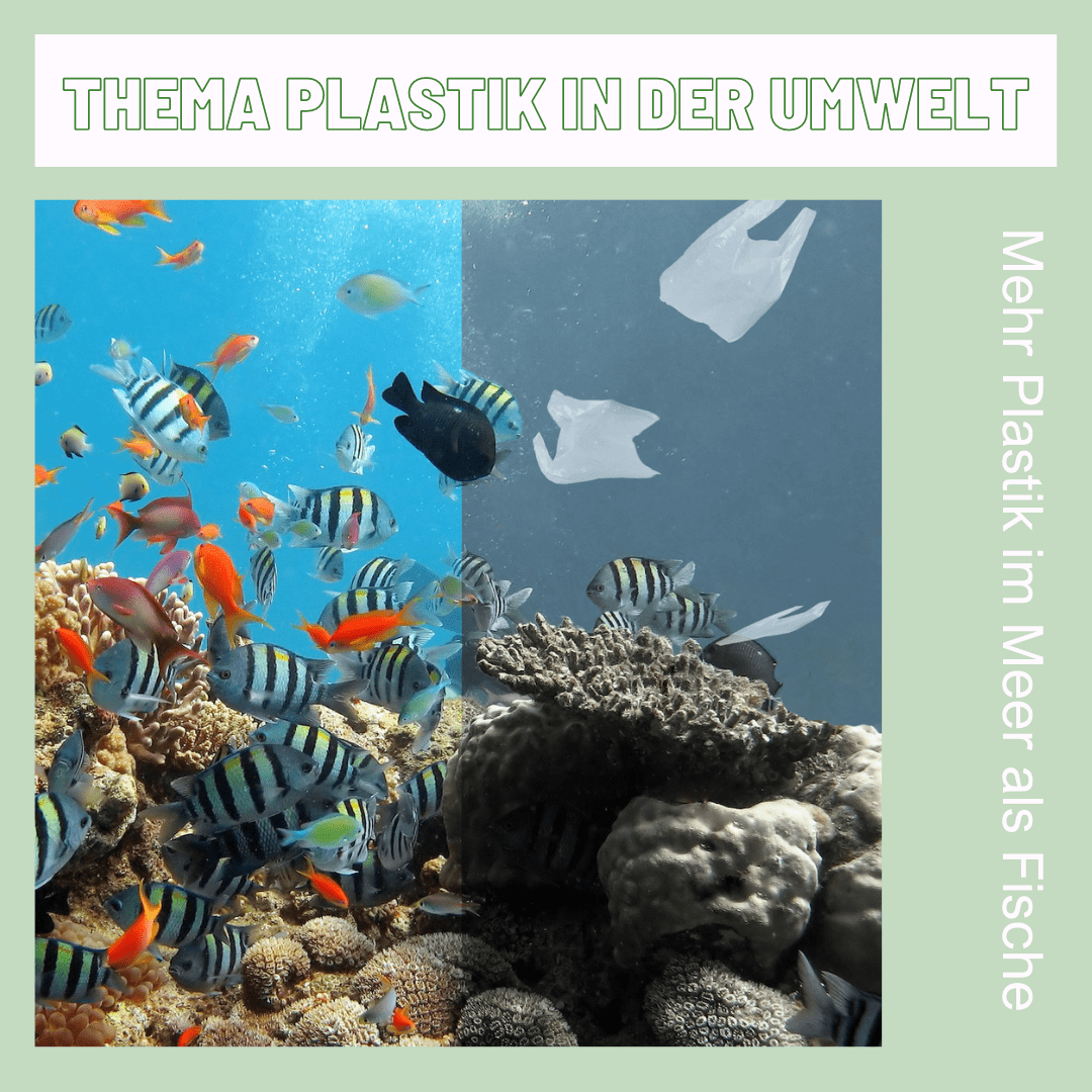 Topic about plastic in the environment - plastic pollution